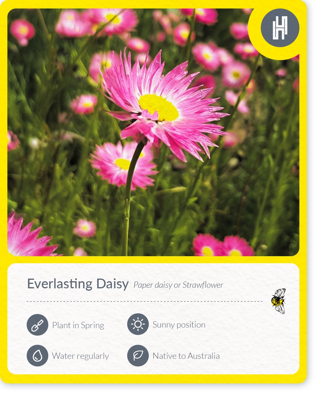 Bloom in 2024 - Happy Holidays from Hive